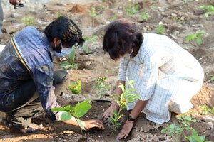 First Source Overview and Company Profile | AmbitionBox