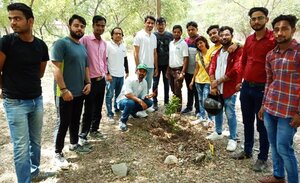 Chetu Overview and Company Profile | AmbitionBox