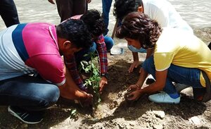 Chetu Overview and Company Profile | AmbitionBox