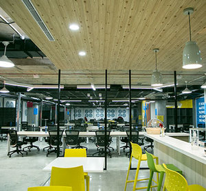 Cult.fit Overview and Company Profile | AmbitionBox