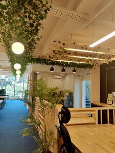 Zyoin Overview and Company Profile | AmbitionBox