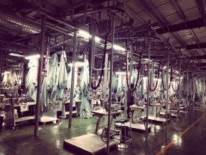 Trident Group Overview and Company Profile | AmbitionBox