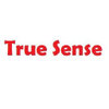 Life at True Sense Technologies: Culture, Salary, Reviews, Interviews ...