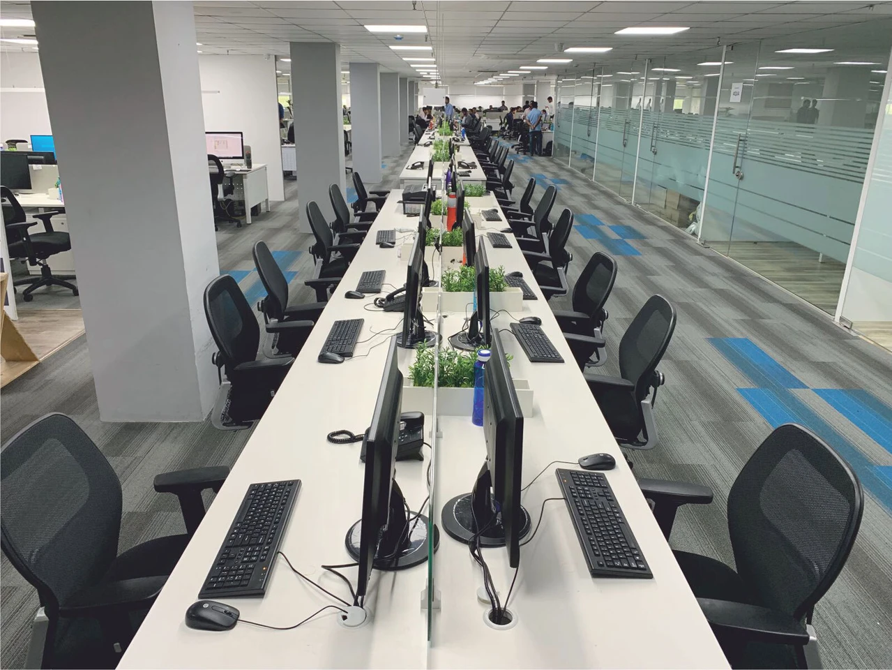 Codiant Software Technologies Company Profile & Overview | AmbitionBox