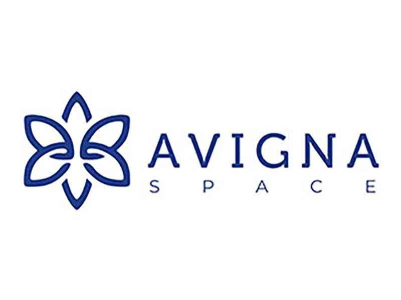 Avigna Group Interview Questions & Answers 2025 | AmbitionBox