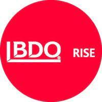 8 BDO RISE Private Limited Audit Associate Interview Questions ...