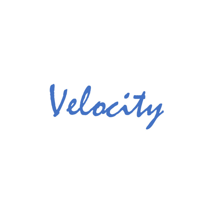 10+ Velocity Software Solutions Interview Questions & Answers ...